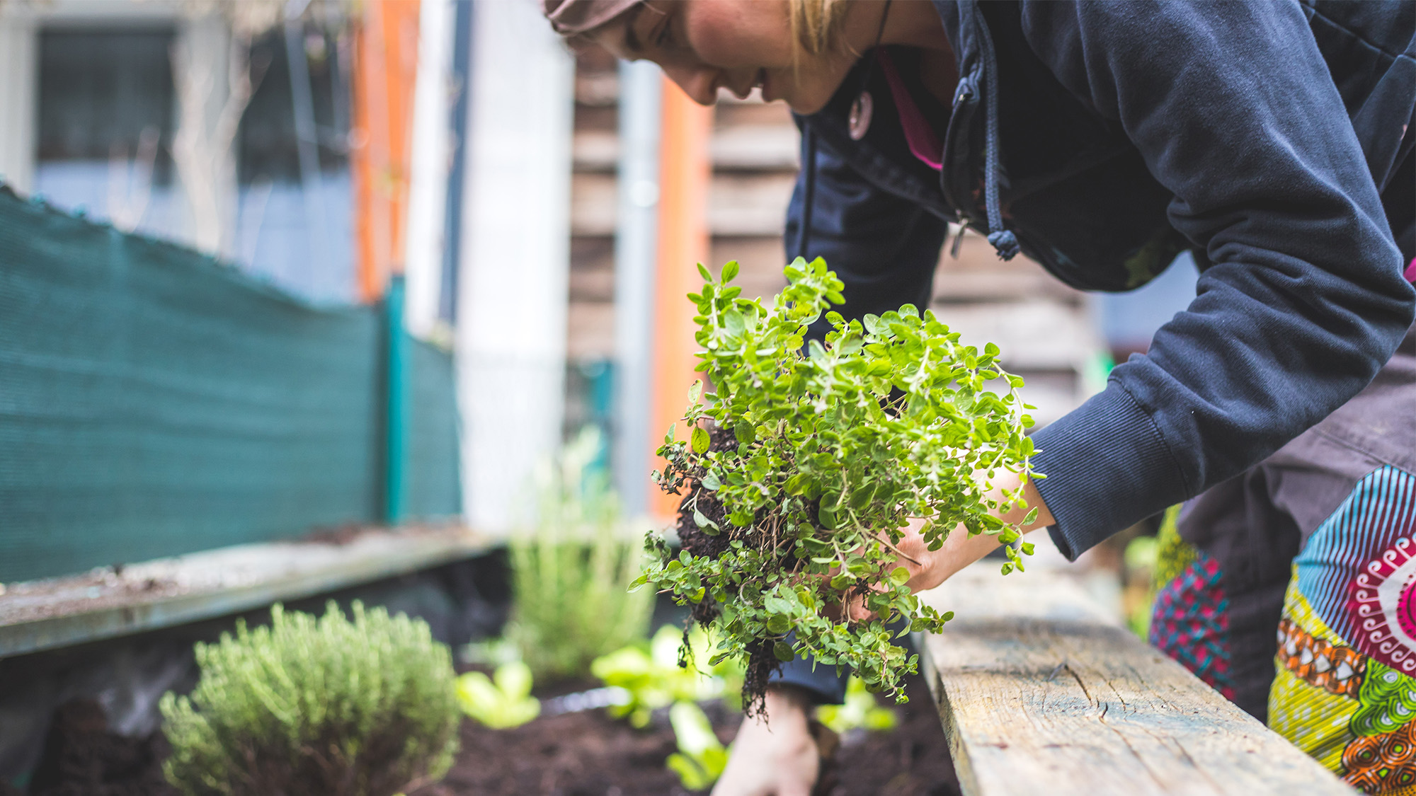 Arbejdsdag i foreningen - AndelsBogen guider dig igennem